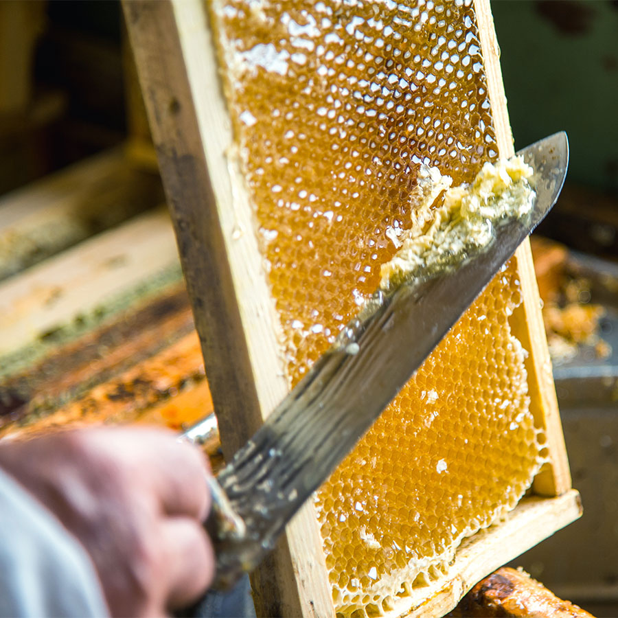 Bee Feed - Wholesale Sugars & Fondant For Bees – Kent Foods Direct